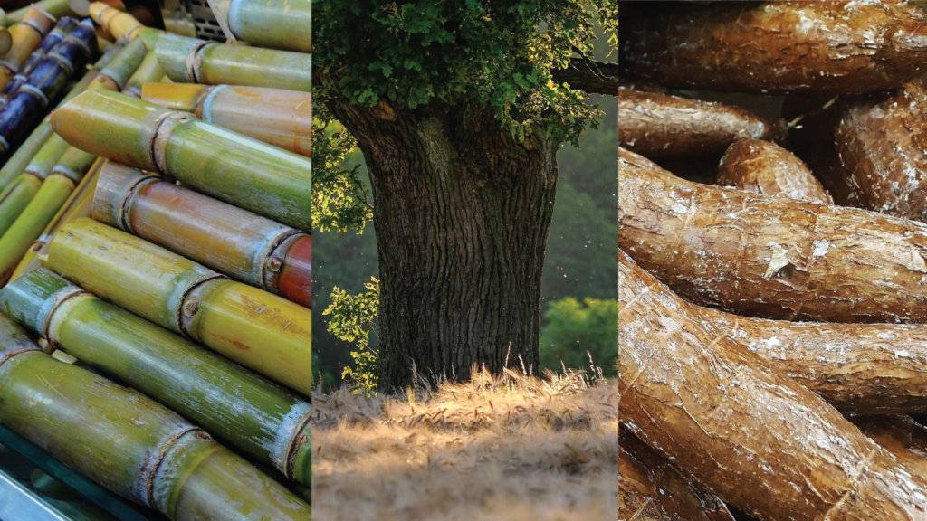 What are Natural and Biodegradable Packaging?